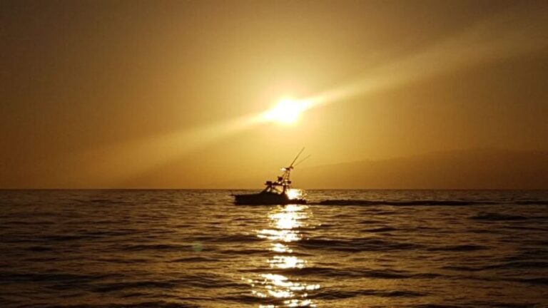From Puerto Colón: Private Fishing Boat Charter with Lunch - Practical Tips for Booking