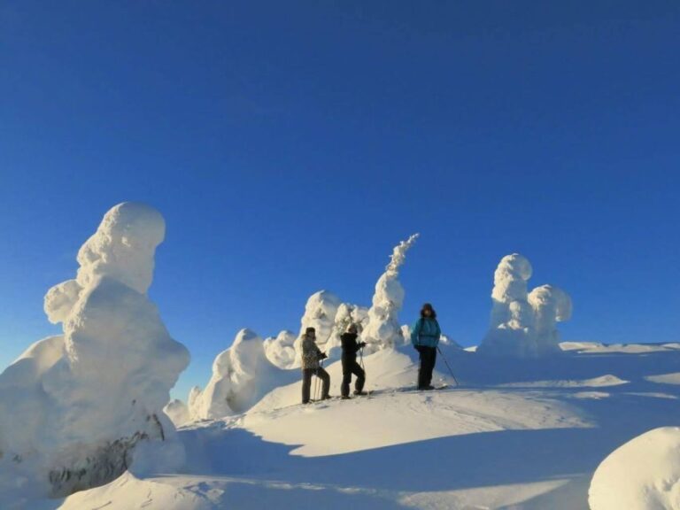 From Ruka: Snowshoeing in Riisitunturi National park - Authentic Arctic Experiences That Impress