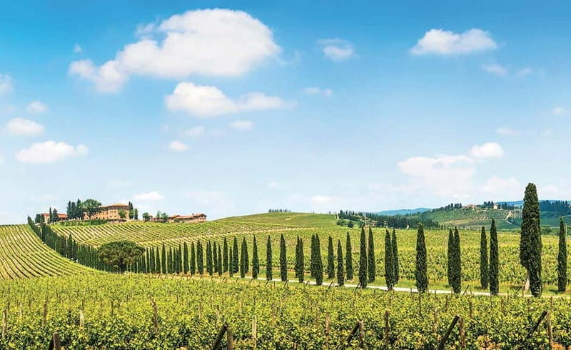 From Siena: Chianti Electric Bike Tour - Who Will Love This Tour?