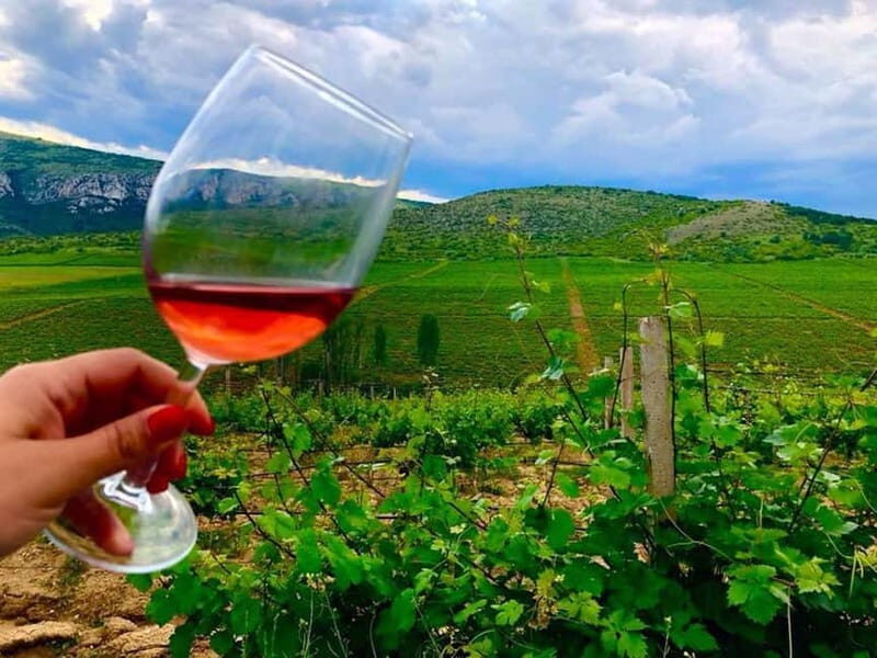 From Skopje: Private Tour of Sopot Winery with Lunch - Is This Tour Worth It?