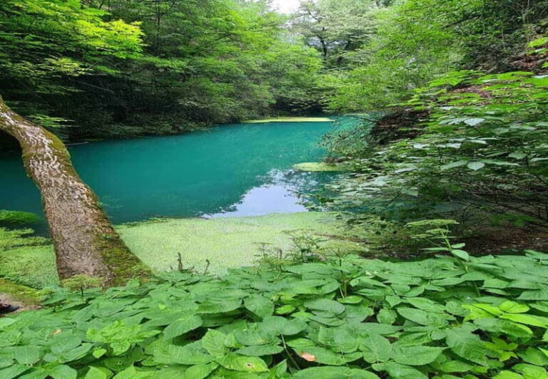 From Sofia: Zlatna Panega River Hike with Springs Visit - What’s Included & Excluded