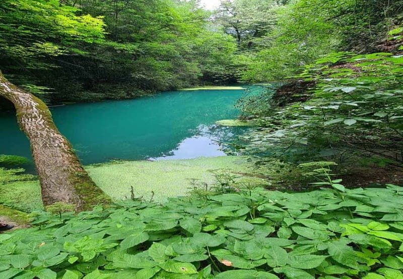 From Sofia: Zlatna Panega River Hike with Springs Visit - What’s Included & Excluded