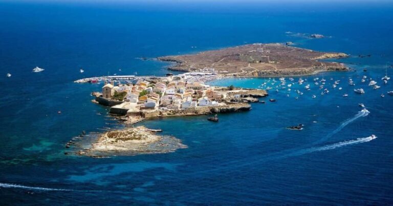 From Valencia: Isla Tabarca Day Trip with Catamaran Ride - Key Points
