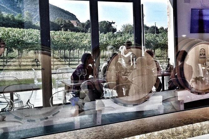 From Venice: Wine Tour in the Euganean Hills - The Tasting Experience: Flavors and Snacks