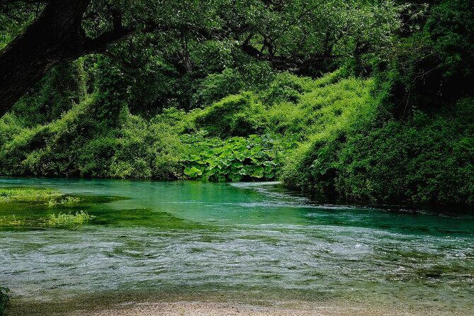 From Vlora: Albanian Riviera, Blue Eye & Gjirokaster Day Trip - Practical Considerations and What You’ll Experience