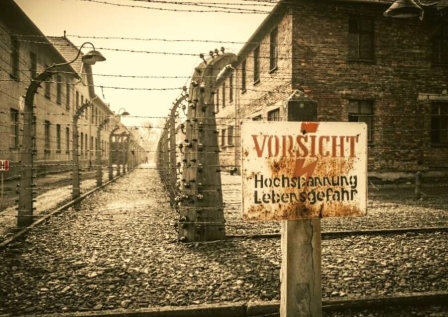 From Warsaw: Auschwitz Day Tour by Private Car with Lunch - Lunch at a Local Restaurant: A Thoughtful Pause