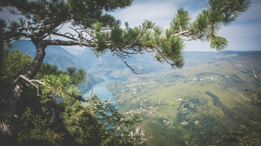 From Zlatibor/Uice: Tara National Park Adventure - Authentic Traveler Insights from Reviews