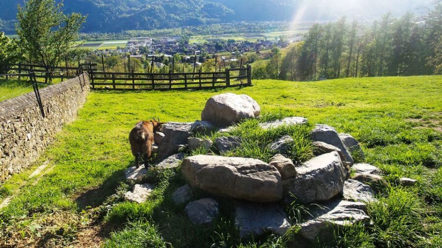 From Zurich: Private Trip to Liechtenstein and Heidiland - Exploring Vaduz: The Heart of Liechtenstein