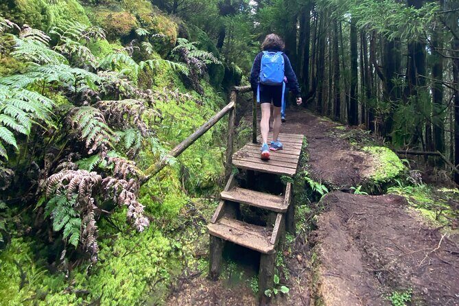 Full Day Hiking Trail Sete Cidades and Ferraria - The Magic of the Viewpoints