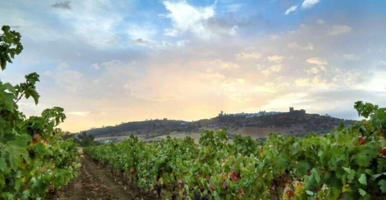 Full-Day Private Cultural Tour in Evora and Monsaraz - Who Will Love This Tour?