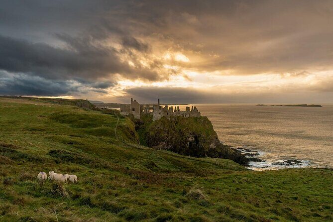 Full Day Private Luxury Tour of Causeway Coast (Giants Causeway) - Why This Tour Works