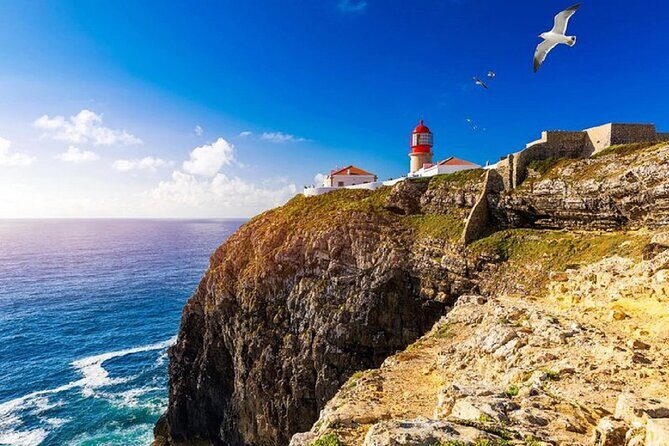 Full Day Private Tour in Historical Algarve Finest - Why This Tour Works for You