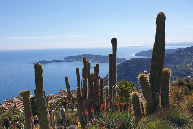 Full-Day Private Tour of Nice, Monaco and Eze Village with private guide - The Itinerary in Detail