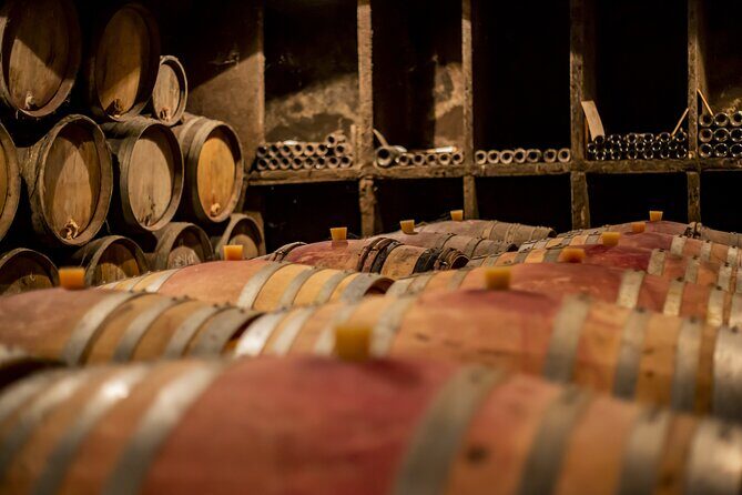 Full-Day Private Wine Tour in Côte de Nuits - What Makes This Tour Stand Out?