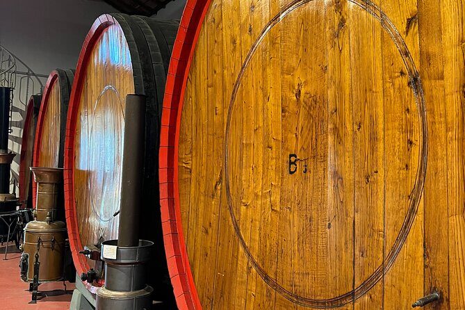 Full Day Super Cars, Parmesan, Balsamic Tour w/Light Lunch - Who Will Love This Tour?
