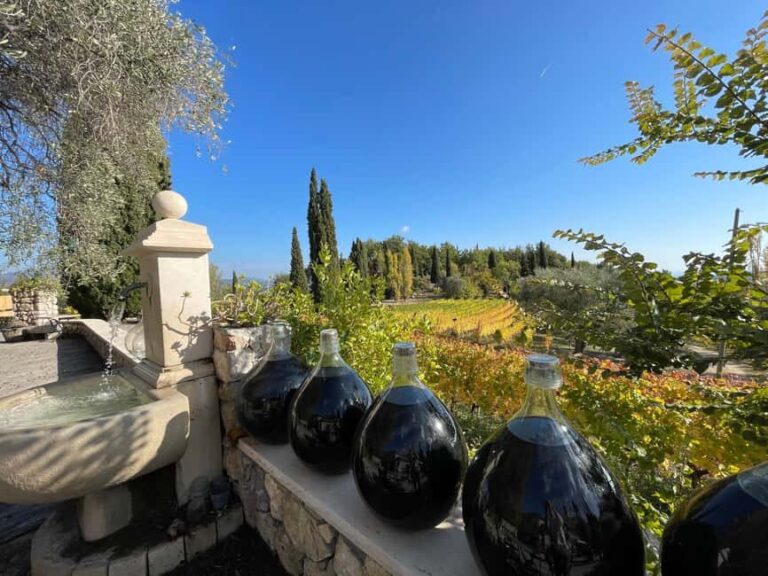 Full-Day Wine Tour in Bellet & Saint-Paul de Vence From Nice - Saint-Paul de Vence: A Medieval Village with Art and Charm