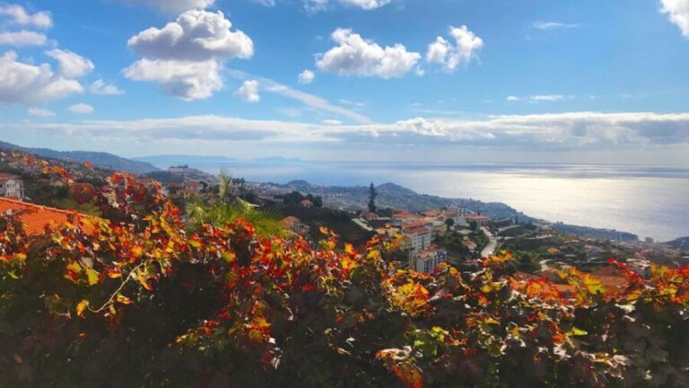 Funchal: Northern Levada Walking Tour - Is This Tour Right for You?