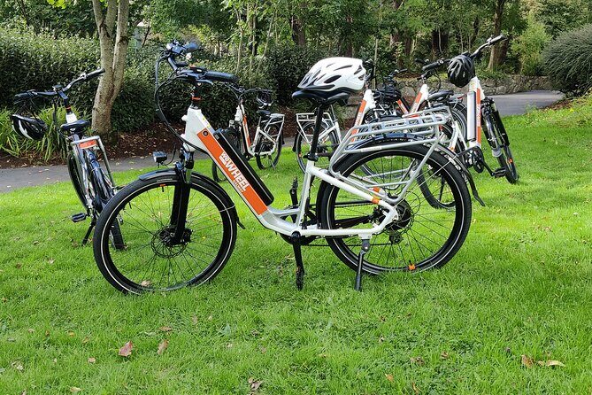 Galway City E-Bike Scavenger Hunt Game - Insights from Reviews
