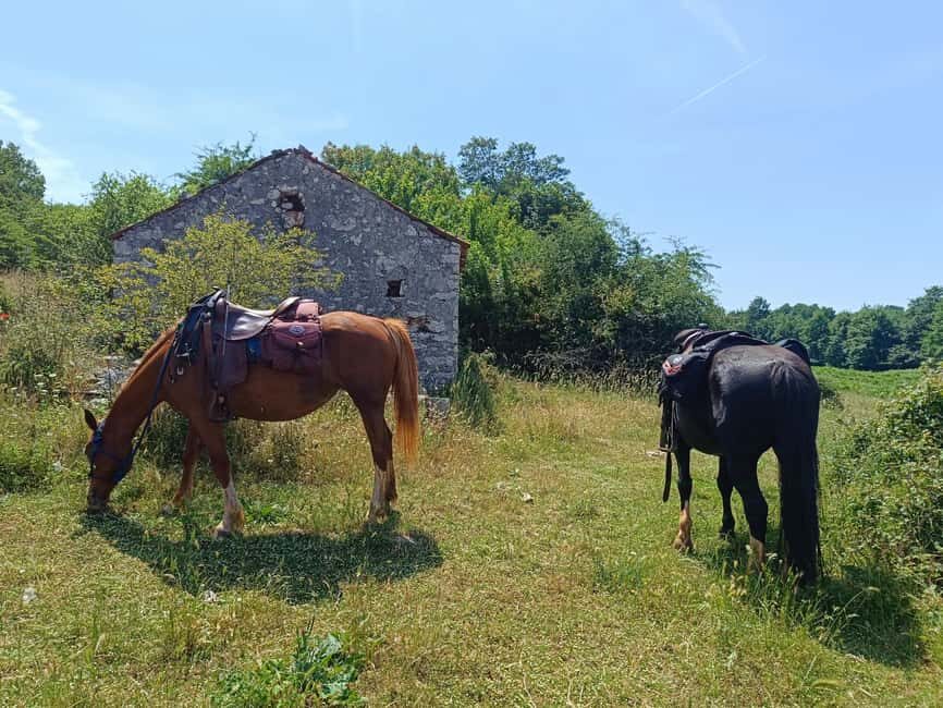Gargano National Park: a horseback ride - Key Points