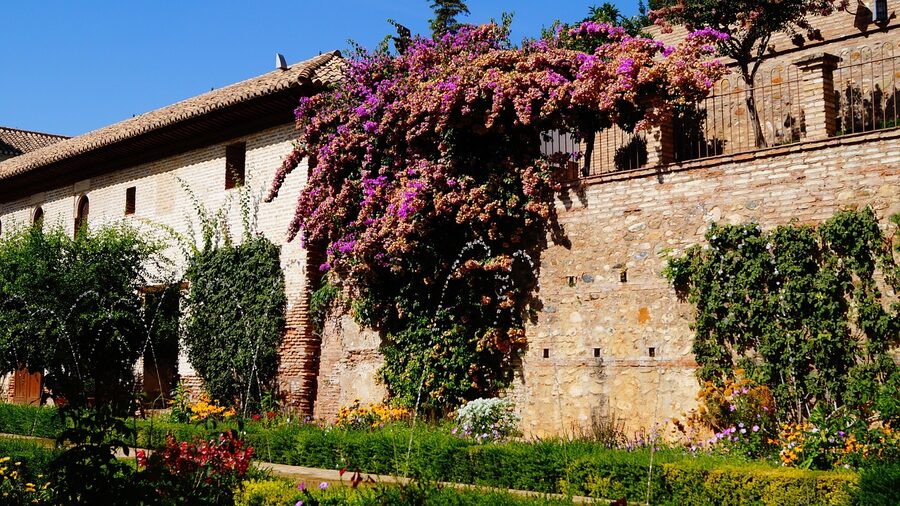 Summer flowers in Generalife gardens with white blooms