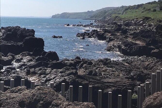 Giants Causeway ~ one stop tour - A Closer Look at the Giants Causeway ~ One-Stop Tour