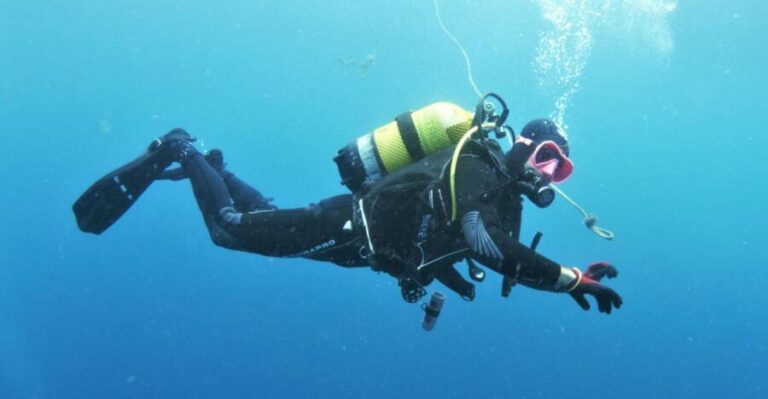 Gran Canaria: Morning Scuba Dive - What Makes This Experience Stand Out