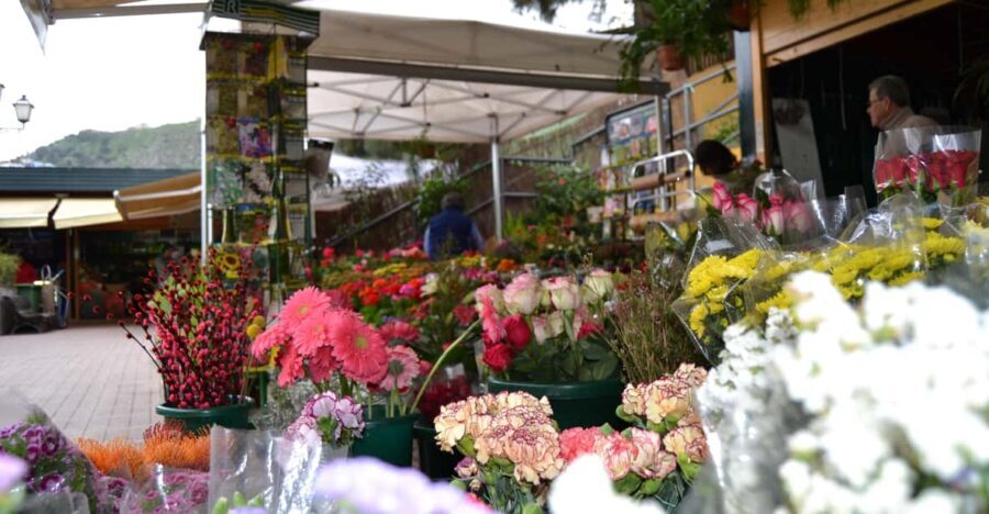 Gran Canaria: Traditional Markets, San Mateo & Teror - The Practicalities: Transportation, Guides, and Value