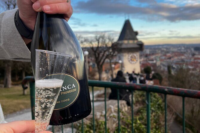 Graz Funicular Ride and Schlossberg Picnic Experience - Who Will Love This Tour?