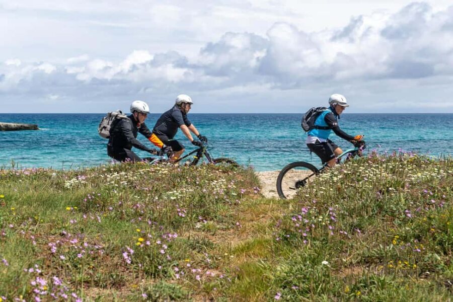 Grotta della Poesia, Torre dell'Orso, and Sant'Andrea: Self-guided Bike Tour - Starting Point: Apulia Outdoor