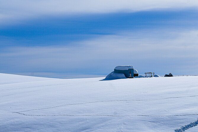 Gudauri Adventures - One Day Private Tour to Gudauri Ski Resort - Who Will Love This Tour?
