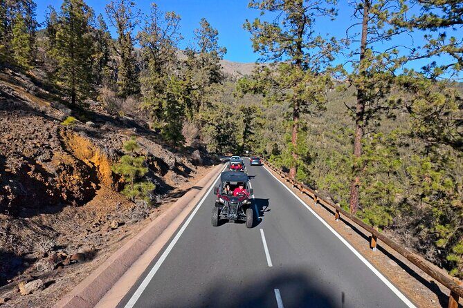Guided Buggy Tour through Teide National Park - Authentic Traveler Insights