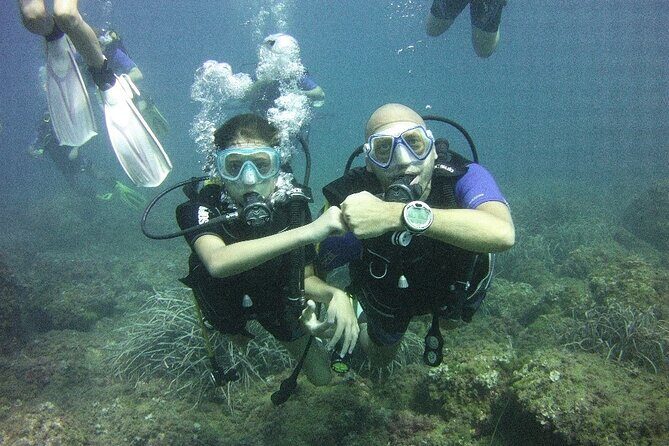 Guided dive for certified divers - Why This Tour Works for Different Types of Travelers