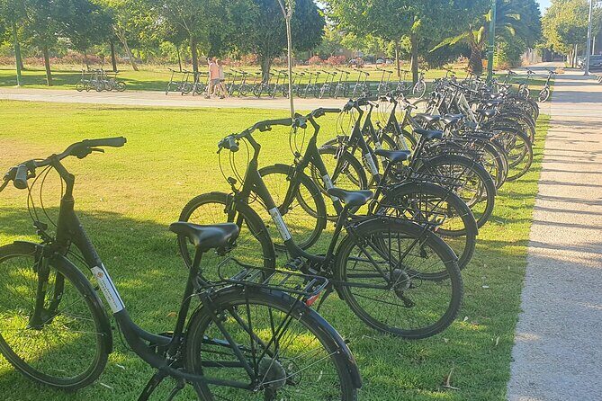 Guided Electric Bicycle Tour of Seville - Who Will Love This Experience?