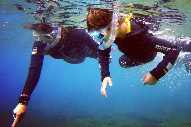 Guided Snorkelling Experience in South of Gran Canaria - Why You’ll Love the Guides and Marine Environment