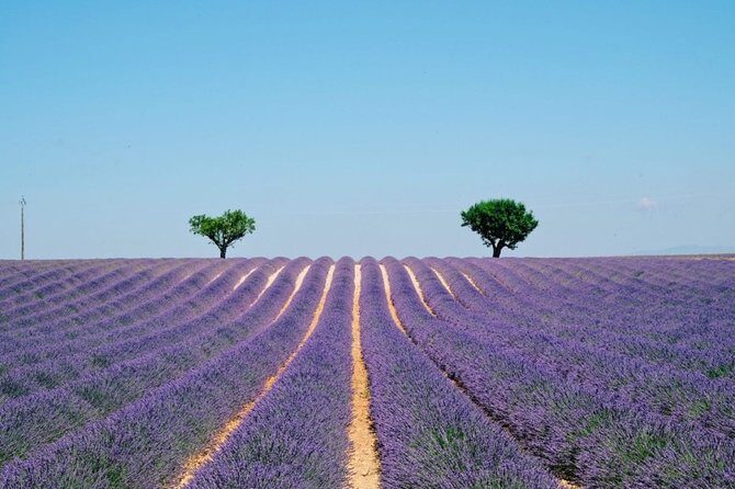 GUIDED TOUR: Lavender fields, the Gorges du Verdon - The Practicalities: How the Tour Works