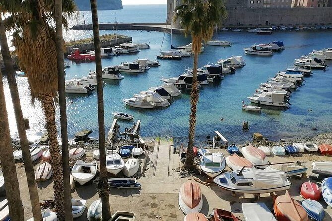 Guided Tour to discover Dubrovnik's Old Town, by day or night - The Meeting Point and Practical Details