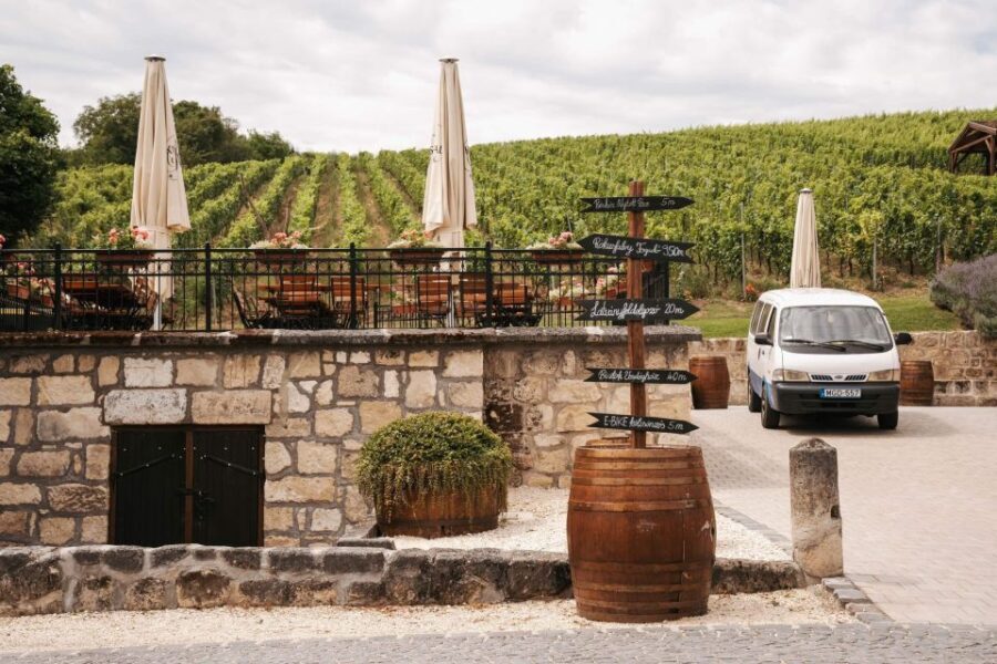 Guided wine tasting at Rókusfalvy Estate - The Itinerary: What to Expect