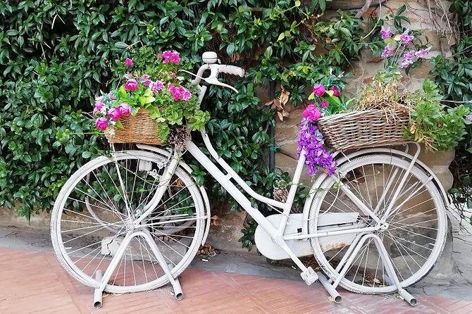Half-Day Chianti Wine and Olive Oil Tour from Viareggio - Who Should Consider This Tour?