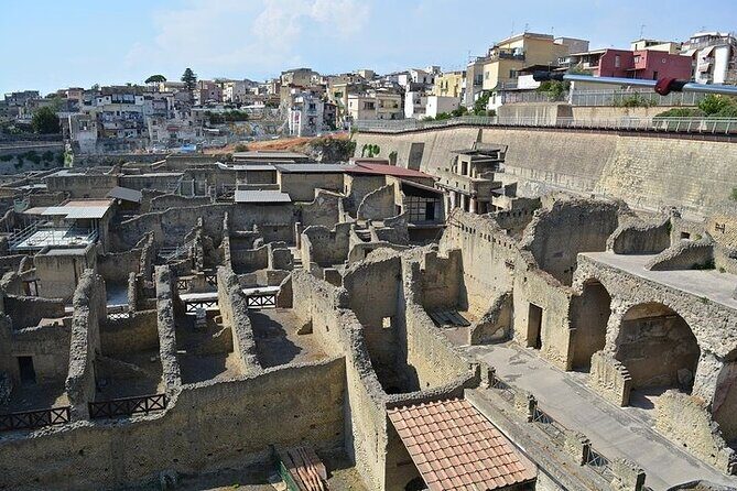 Half Day Excursion to Herculaneum from Naples with Lunch - Who Is This Tour Best For?