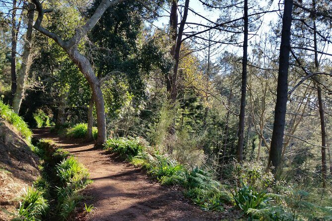 Half-Day Paradise Valley Walking Tour - Analyzing the Price and Overall Value