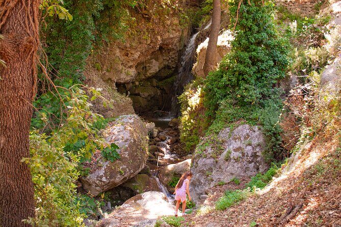 Half-Day Private Tour & Picnic in Real Cretan Countryside Retreat - What Makes This Tour Stand Out?