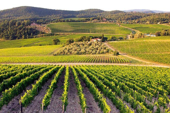 Half Day Tour Chianti Winery with San Gimignano - Price and Value Considerations