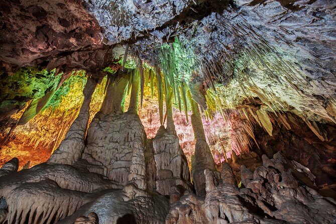 Half Day Tour to Dinosaur Land in Mallorca - What Makes This Tour Stand Out?
