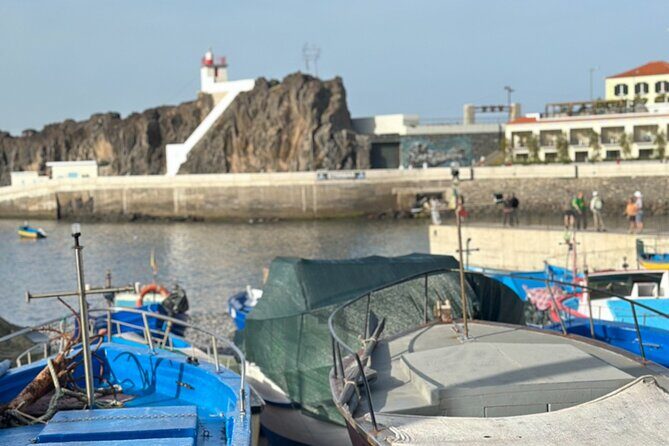 Half Day Tour with Madeira Wine Tasting - What the Tour Really Offers