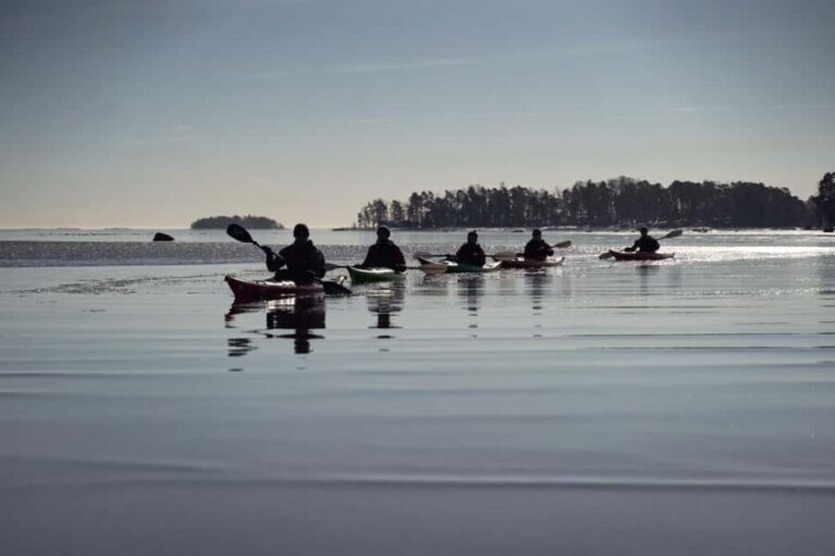 Helsinki: Winter Kayaking in Eastern Helsinki Archipelago - Authentic Feedback from Travelers
