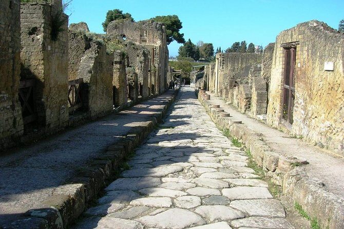 Herculaneum Ruins Private Half-Day Tour - Why Choose This Tour?