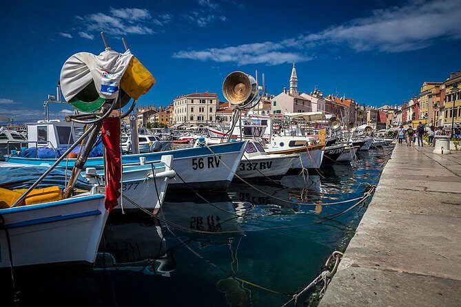 Highlights of Istria Full-Day Photo Tour from Zagreb - What to Expect on the Day