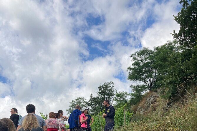 Hiking and Wine between Côte-Rôtie and Condrieu - What to Expect During the Hike