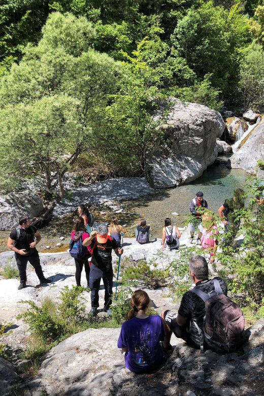 Hiking in Mt Olympus National Park - Who is This Tour Best For?