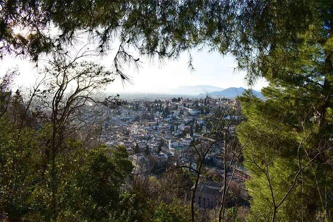Hiking in the natural park on the outskirts of the Alhambra - What Reviewers Say